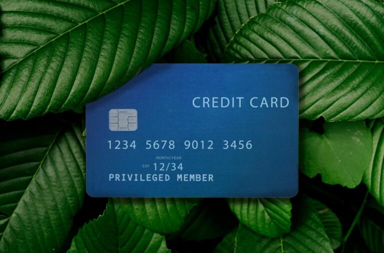 How Banks Can Lead the Shift to a Greener Future | Kipp